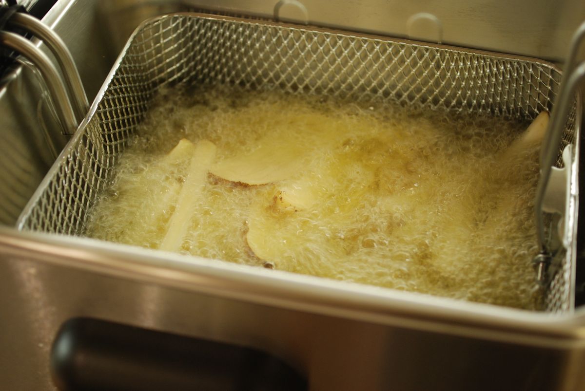 The T-fal deep fryer (EZ Clean) – Food Science Institute