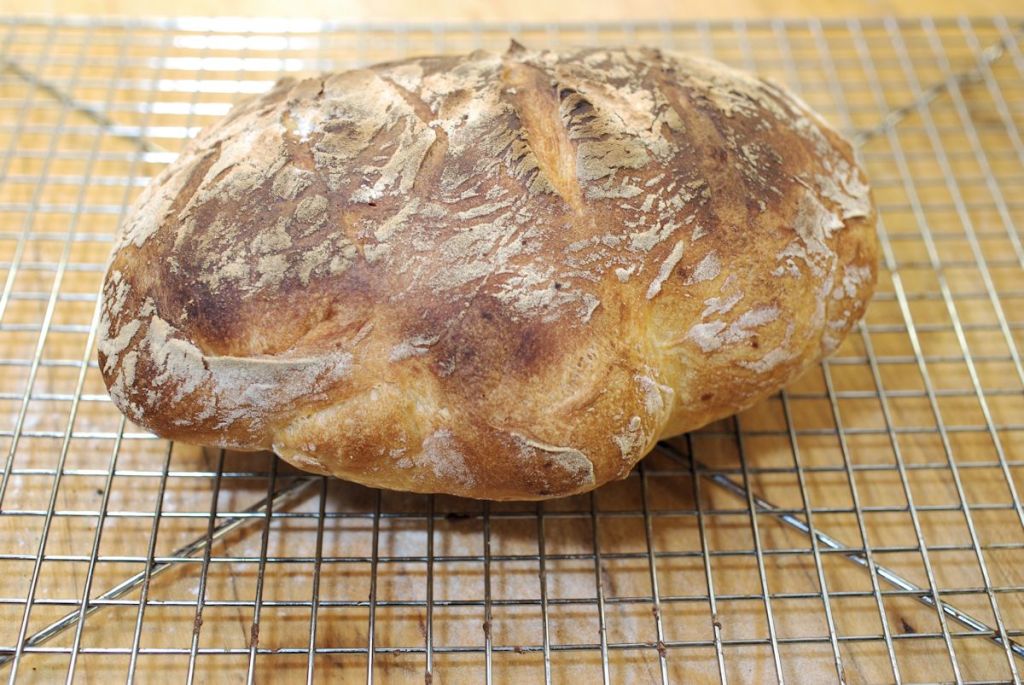 Easy crusty white bread without kneading – Food Science Institute