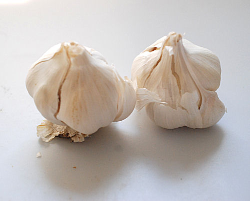 All about garlic – Food Science Institute